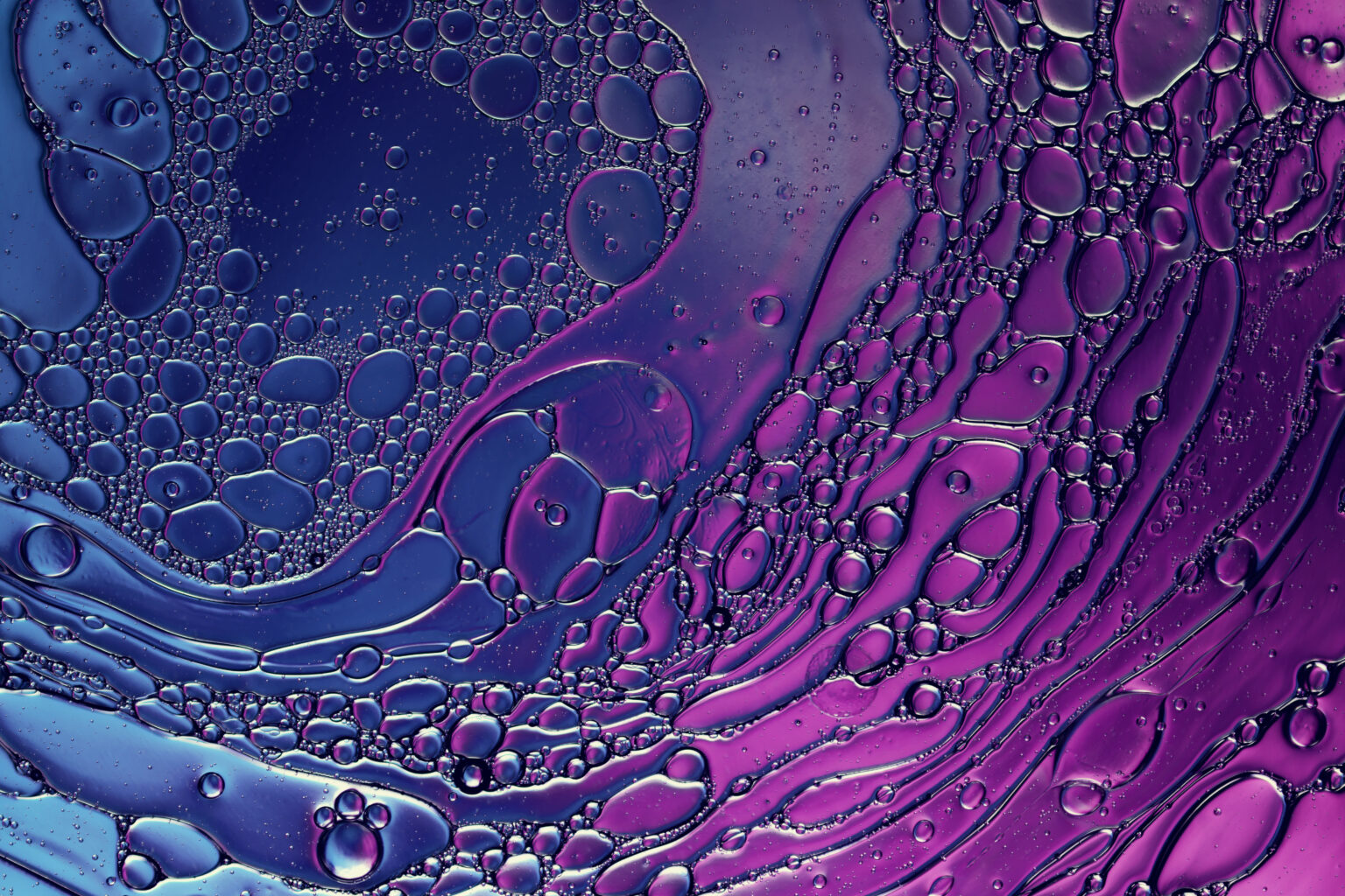 Animating Your Brand: The Benefits of Motion Graphics - The Populace Group